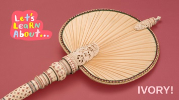 Let's Learn About...Ivory