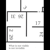 What is Not Visible is Not Invisible (2018)